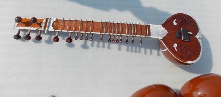 Surbahar, Sitar, & Other Instruments Gallery - Saraswati Tantuvadya Kendra